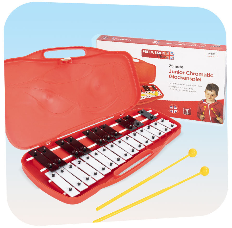 Our service to Music Education and Music Hubs | Chamberlain Music