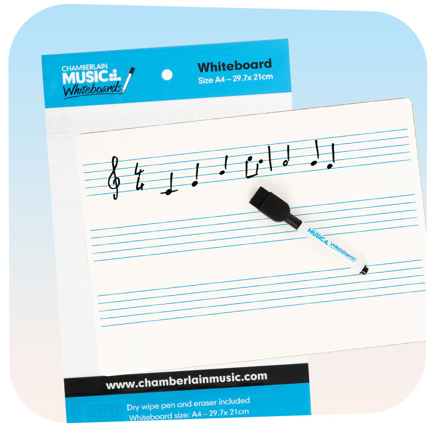 Our service to Music Education and Music Hubs | Chamberlain Music