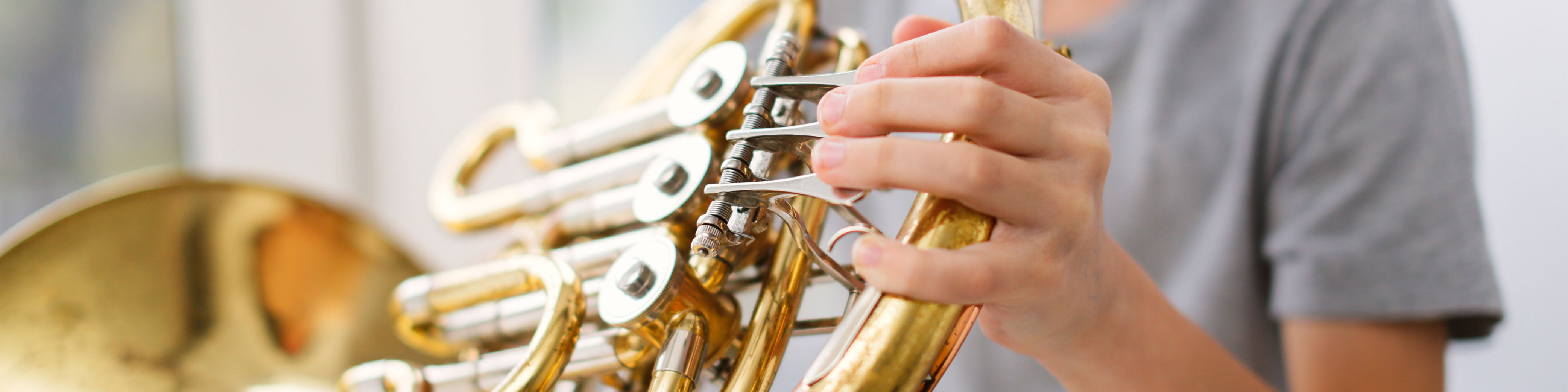 Preserving endangered instruments in music education | Chamberlain Music